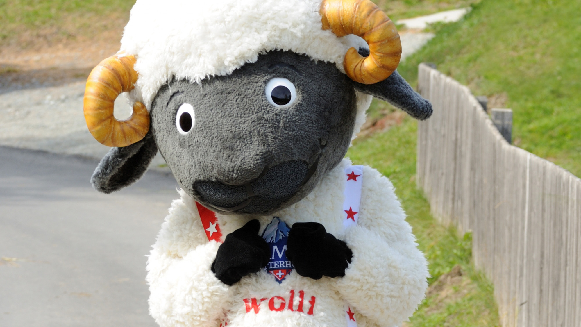 Dein perfekter Wolli-Erlebnistag - Matterhorn Blog