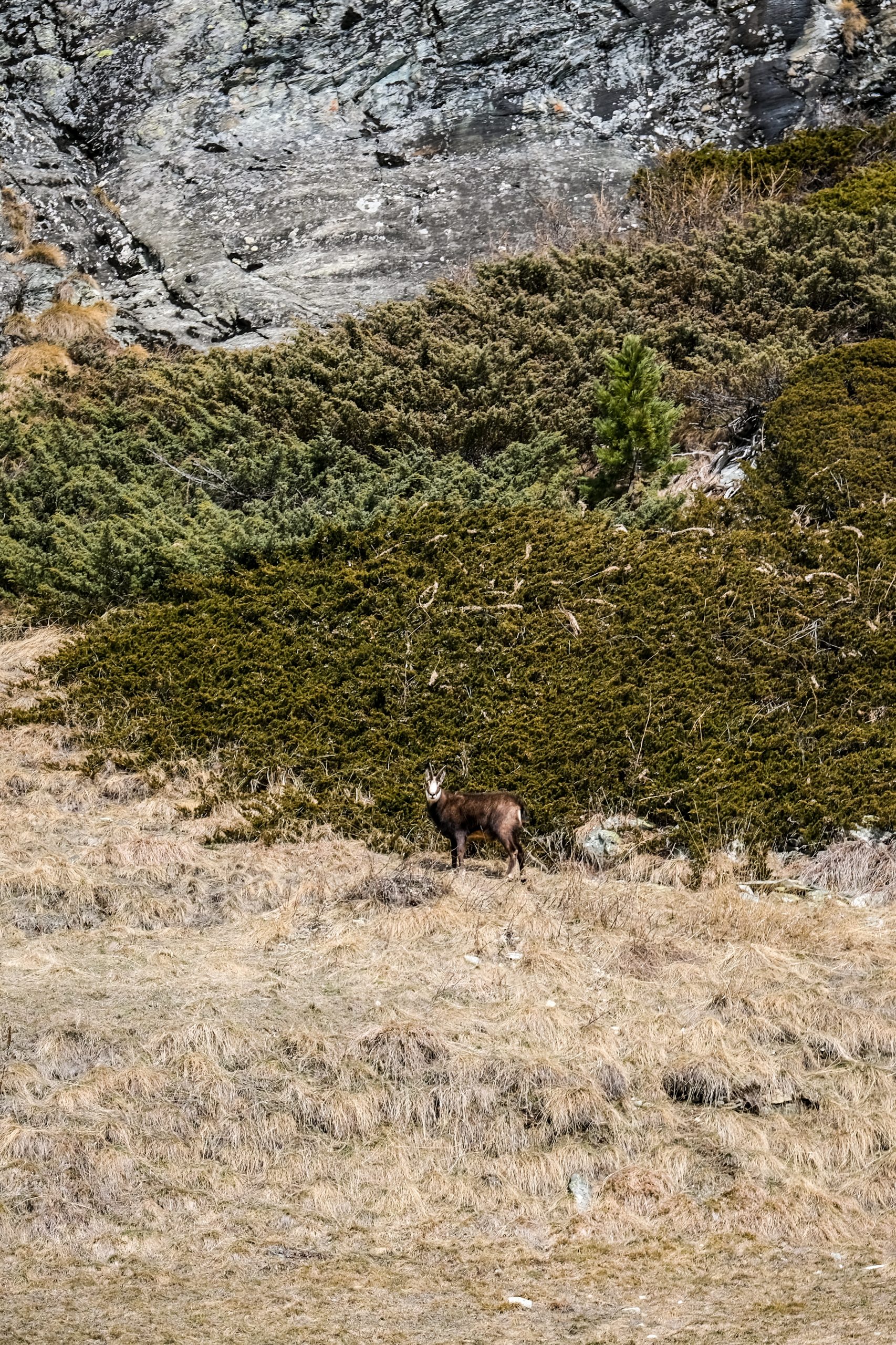 Zermatt - Zmutt: Immer und für Jedermann - Matterhorn Blog