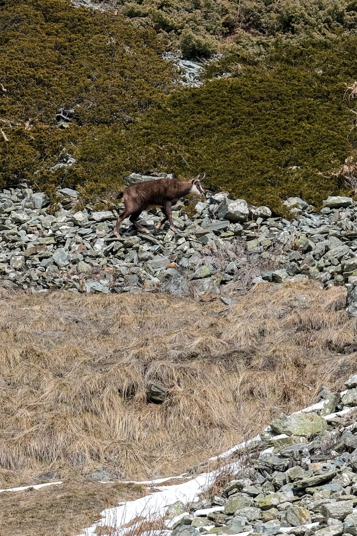 Zermatt - Zmutt: Immer und für Jedermann - Matterhorn Blog